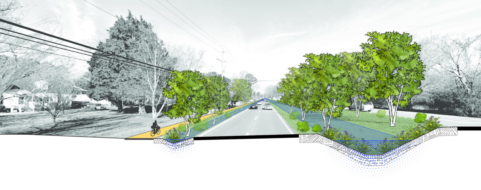 Resilient Hampton – Waggonner & Ball