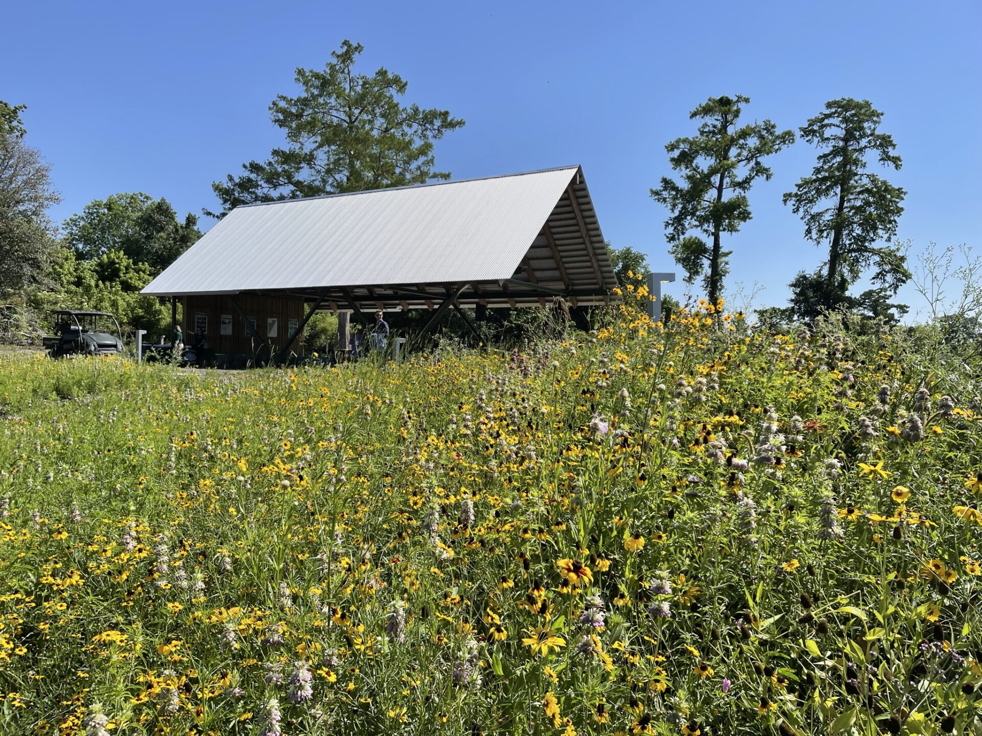 Gretna City Park Officially Opens – Waggonner & Ball