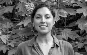 Sophie Riedel – Waggonner & Ball